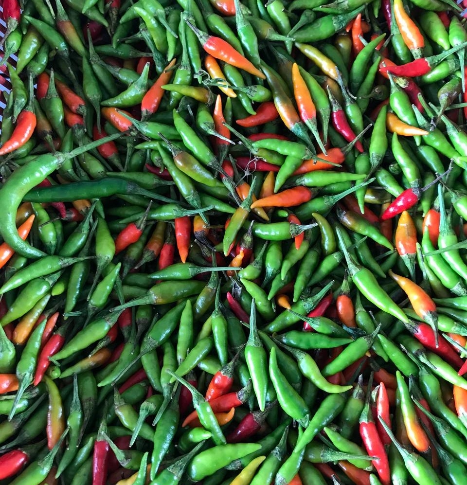 NORAINI BAKRI HASHIM ENT on WhatsApp ⚡