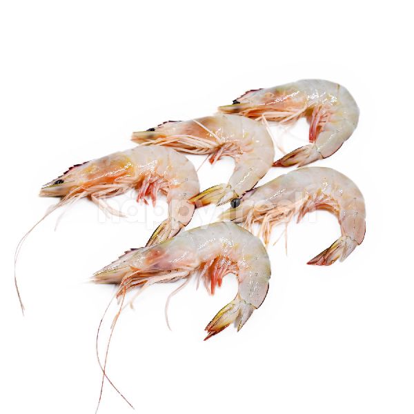 NORAINI BAKRI HASHIM ENT on WhatsApp ⚡