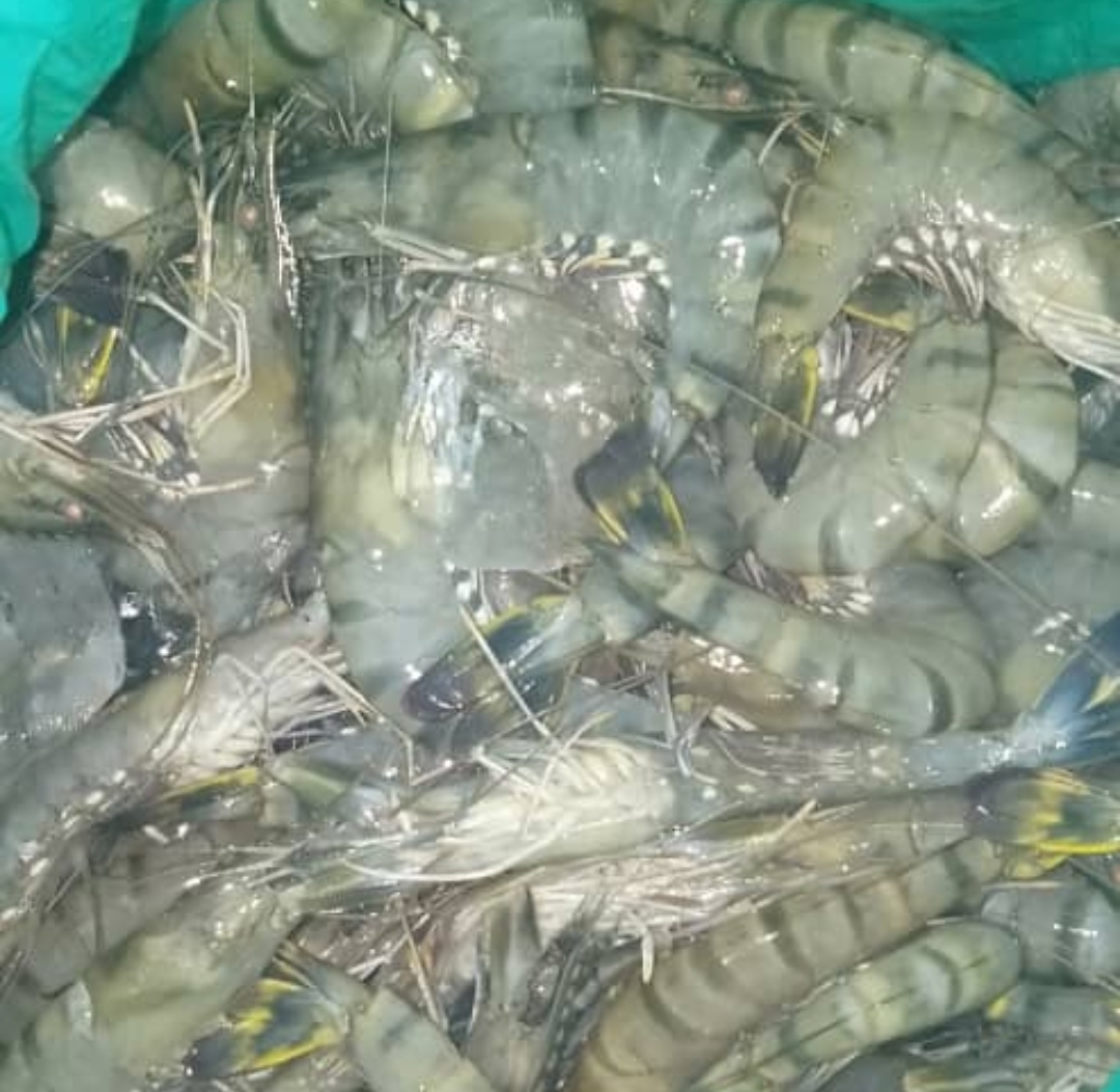 NORAINI BAKRI HASHIM ENT on WhatsApp ⚡