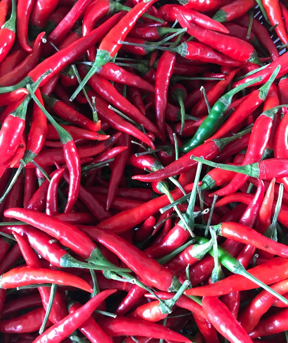 NORAINI BAKRI HASHIM ENT on WhatsApp ⚡