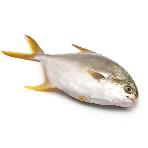 NORAINI BAKRI HASHIM ENT on WhatsApp ⚡