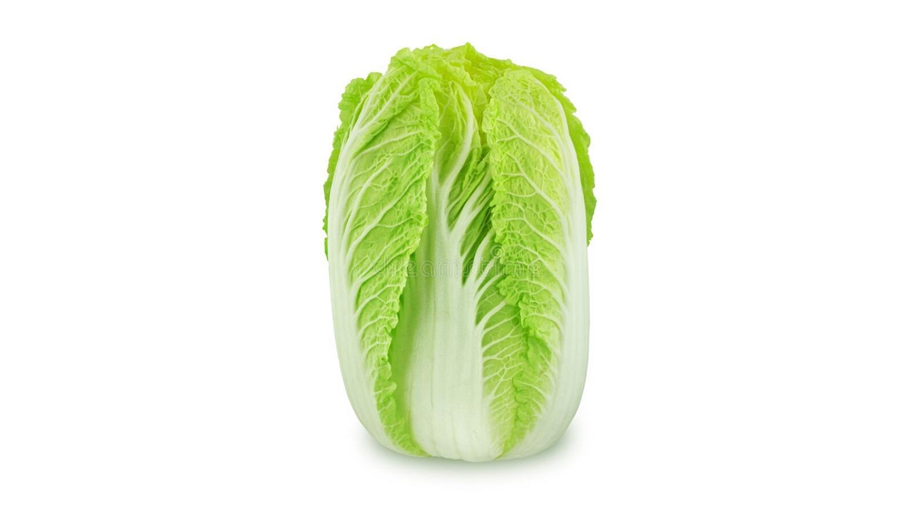 GM Green Market Supply Puchong BK5 on WhatsApp ⚡