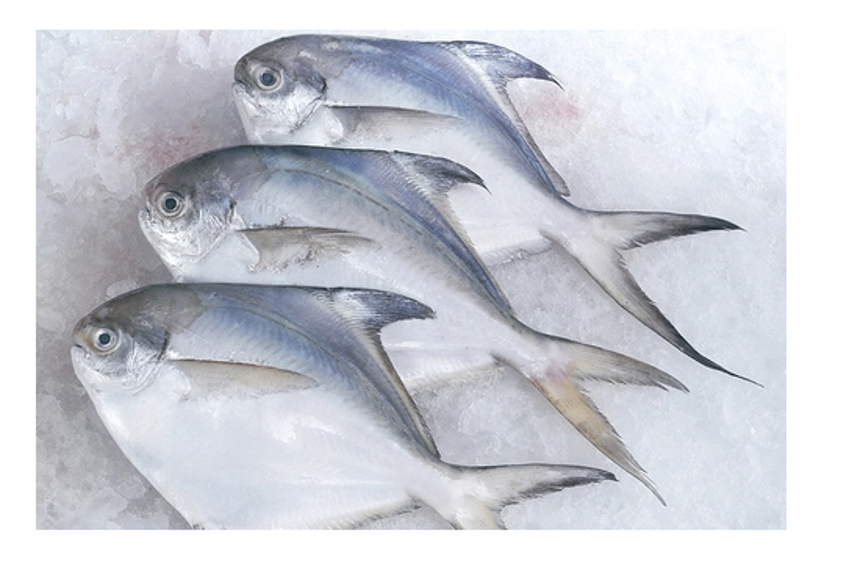 NORAINI BAKRI HASHIM ENT on WhatsApp ⚡